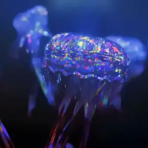 Underwater Live Wallpapers and More | DesktopHut